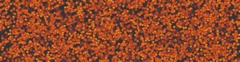 Sparrow Webgl Devlog D Particles Pingpoli De