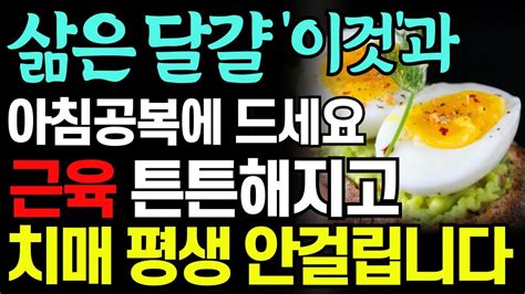 계란 삶은 달걀을 매일 아침 드세요 당뇨 사라지고 몸속 염증 싹 사라집니다 특급 레시피 총정리 근육 건강 뇌 건강 챙기세요 치매에 좋은 음식 혈당 조절 당뇨
