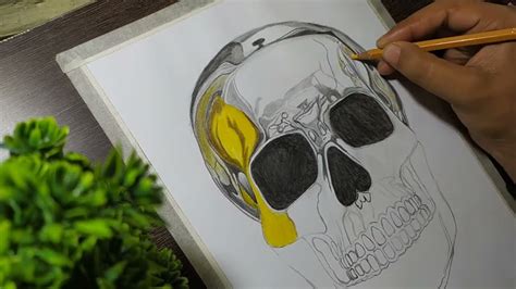 How To Draw A Scalp Sketch How To Draw Scalp Sketch Step By Step Colour Drawing Tutorial