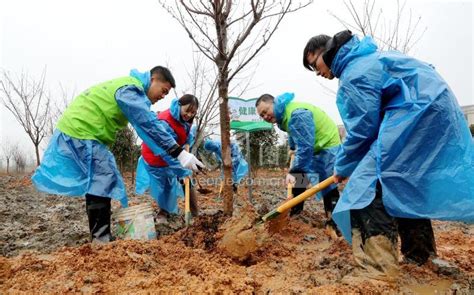 浙江德清亚运林植树忙 人民图片网