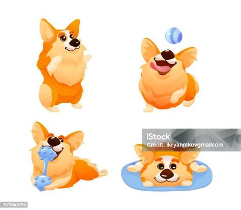 다른 포즈를 가진 코기 개 머리 강아지는 여우처럼 보인다 등장인물에 대한 스톡 벡터 아트 및 기타 이미지 등장인물 가축