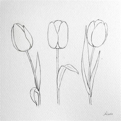 How To Draw A Tulip Really Easy Drawing Tutorial