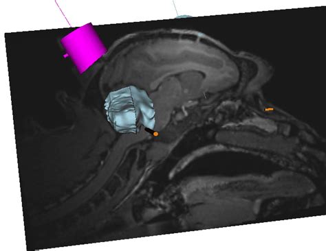 Interpolating Contour Lines To Form Volume Rhino For Windows Mcneel Forum