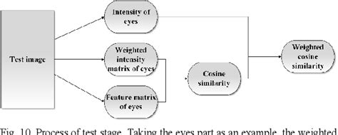 Figure 10 From Face Recognition Algorithm Based On Weighted Intensity Pcnn Semantic Scholar