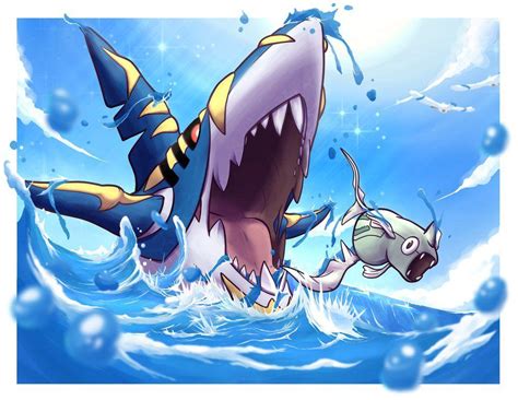 Mega Sharpedo Wallpapers Wallpaper Cave