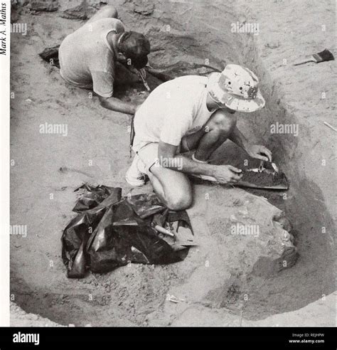 Coast Watch Marine Resources Oceanography Coastal Zone Management Coastal Ecology