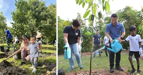 Nparks To Hit Goal Of Planting 1 Million Trees In Spore By End 2027 3
