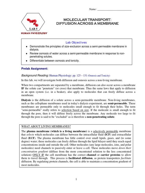Lab 5 Osmosis And Tonicity Pdf Cell Membrane Osmosis