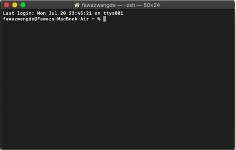 Not Able To Give Input To The Program · Issue 5799 · Microsoftvscode Cpptools · Github