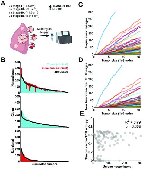 Human Nsclc Immunopeptidomes Were Recapitulated From Clinical Data A Download Scientific