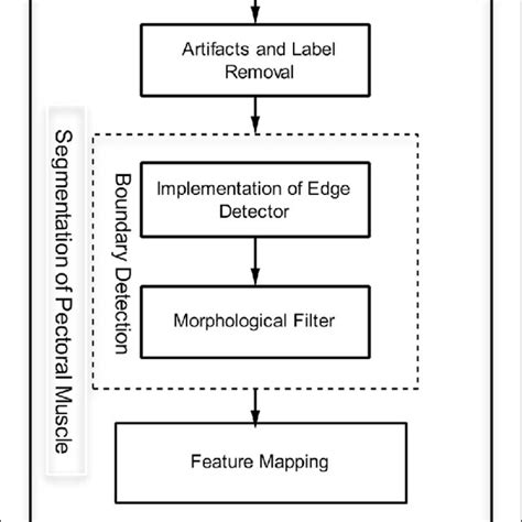 Labeled Mammogram From Mini Mias Download Scientific Diagram