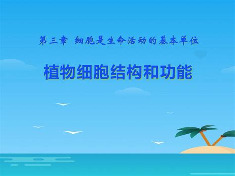 《植物细胞结构和功能》ppt[优秀课件资料] Word文档免费下载 亿佰文档网