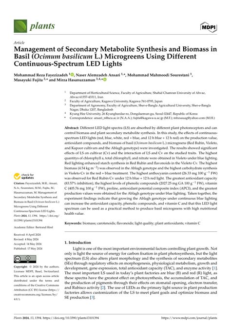 Pdf Management Of Secondary Metabolite Synthesis And Biomass In Basil