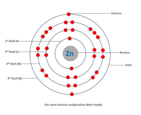 Solved What To Do 1 Illustrate The Electron Configuration Of Zinc