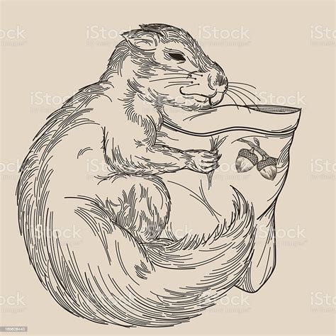 Sleepy Squirrel Cuddling His Pillow Stock Illustration Download Image Now Acorn