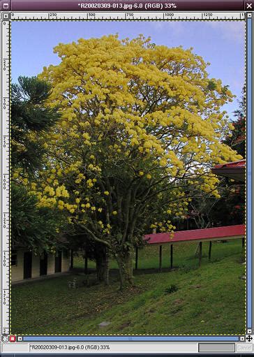 GIMP Creating A Contrast Mask