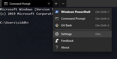 Guide Customizing Your Windows Terminal With Themes And Different Shells Dev Community