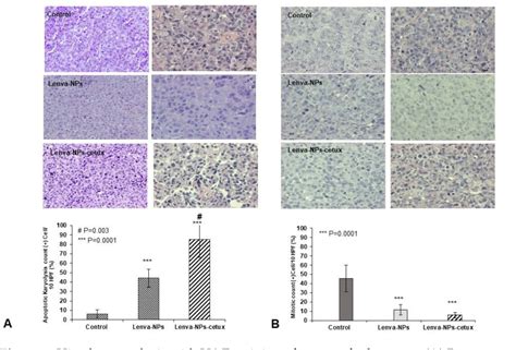 Figure 9 From Lenvatinib Loaded Polylactic Co Glycolic Acid Nanoparticles With Epidermal