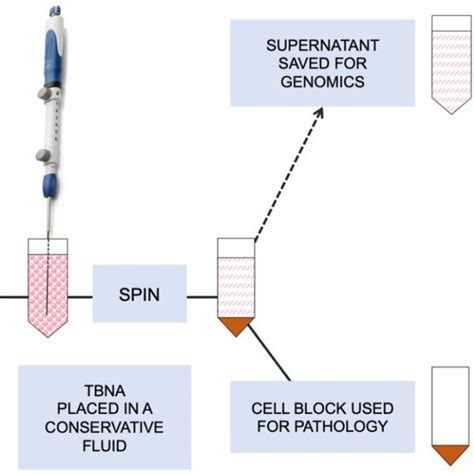 Alternative Handling Of Cytology Specimens For Genomics Using