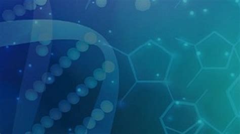 Illuminating Metabolome Diversity With Computational Metabolomics