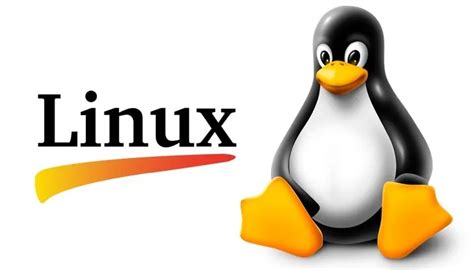 Fixing Vmware Kernel Module Updater Issue On Linux By Pine Damian Medium