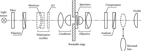 Optical Train Of A Polarized Light Microscope With Polarizer Analyzer Download Scientific