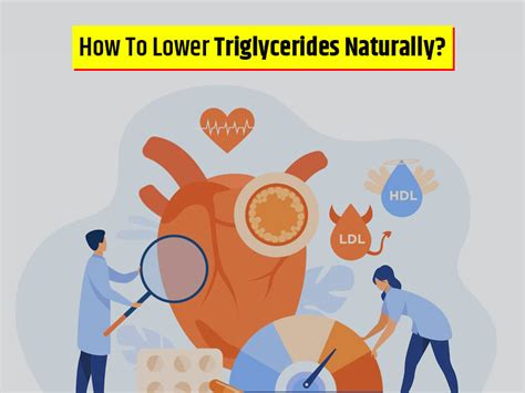 Triglyceride Levels Natural Ways To Reduce Onlymyhealth