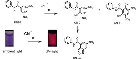 Optical Chemosensors Principles Chemistry Strategies And Applications Intechopen