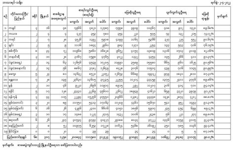 မူဆယ်နယ်စပ်ဒေသနှင့် ချင်းရွှေဟော်နယ်စပ်ဒေသတို့၌ Myanmar Automated Cargo