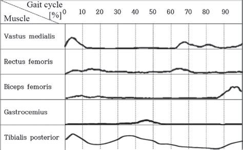 Figure 1 From Semg Signal Based Lower Limb Human Motion Detection Using A Top And Slope Feature