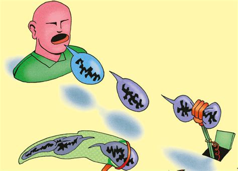 Combating Misinformation On Social Media Sciences Po