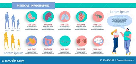 Medical Infographic Depicting Human Organs Banner Stock Vector Illustration Of Couple Flat