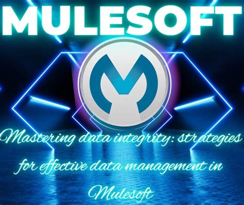 Mastering Data Integrity Strategies For Effective Data Management In