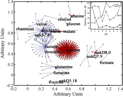 A Spring Embedding Model Revealing Relationships Between Metabolites Download Scientific