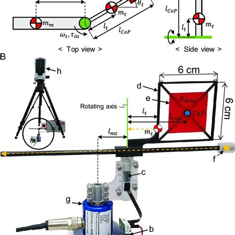Modeling And Experimental Measurement Of The Transmitted Torque At The Download Scientific
