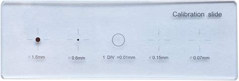 Microscope Stage Micrometer Calibration Slide With 4 Scales And 0 01mm