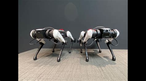 Lifelike Agility And Play In Quadrupedal Robots Youtube