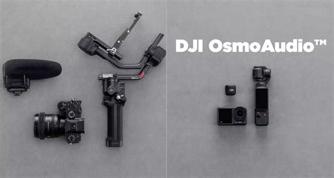 Dji Mic 2 Vs Dji Mic Mini Which Wireless Microphone Should You Buy Dji Store