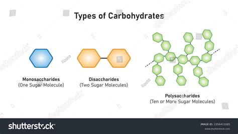 Carbohydrates Classification Chart Over 91 Royalty Free Licensable Stock Illustrations