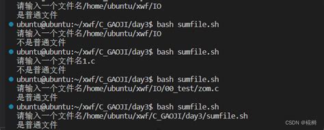 linuxbash脚本实践：文件统计与类型检查 csdn博客