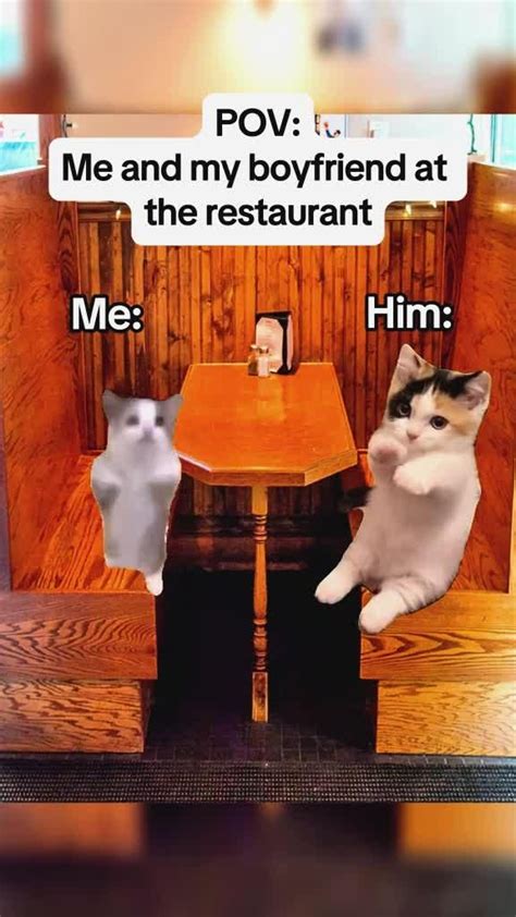 Who Else Deals With This Video Two Cats On A Date Cat Couple