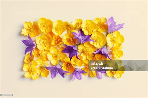 필드 꽃의 최소 꽃 패턴 베이지 색 배경에 평면도 노란색 보라색 꽃 봄 여름 시즌 개념 크리 에이 티브 플랫 레이 아름다움 자연 꽃 질감 꽃 디자인 사본 공간 0명에 대한