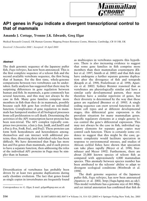 Pdf Ap1 Genes In Fugu Indicate A Divergent Transcriptional Control To That Of Mammals