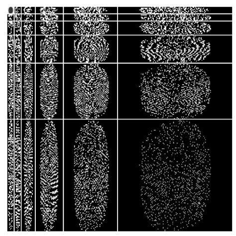 Demonstrates 5decomposition Levels Of The 2 D Wavelet Transform For A