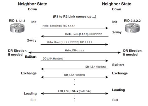 Understanding OSPF Routing AnalysisMan