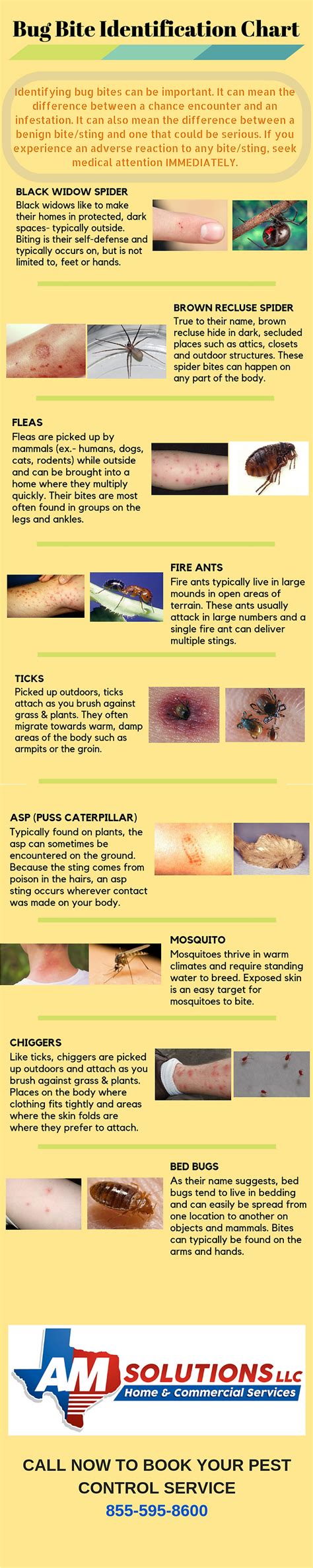Bug Bite Identification Chart Am Solutions Llc Houston
