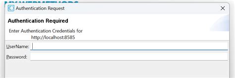 unable to connect a my webmethods server instance from designer webmethods software ag