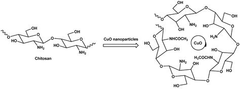 Chitosan Capped Copper Oxide Nanocomposite Efficient Recyclable Heterogeneous Base Catalyst