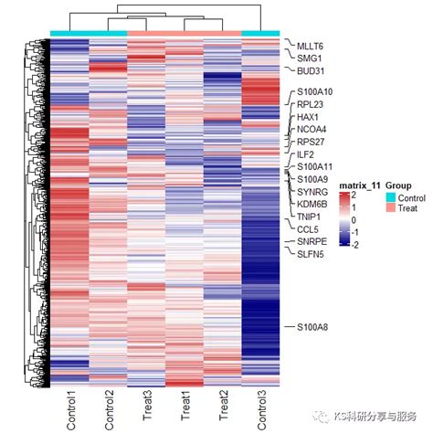 热图1：画热图只标注感兴趣的基因名称 知乎