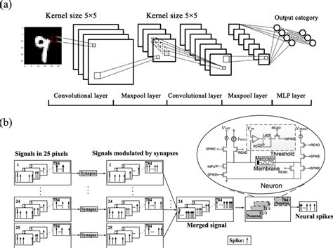 Convolutional Neural Network Based On Memristive Neuron A Download Scientific Diagram